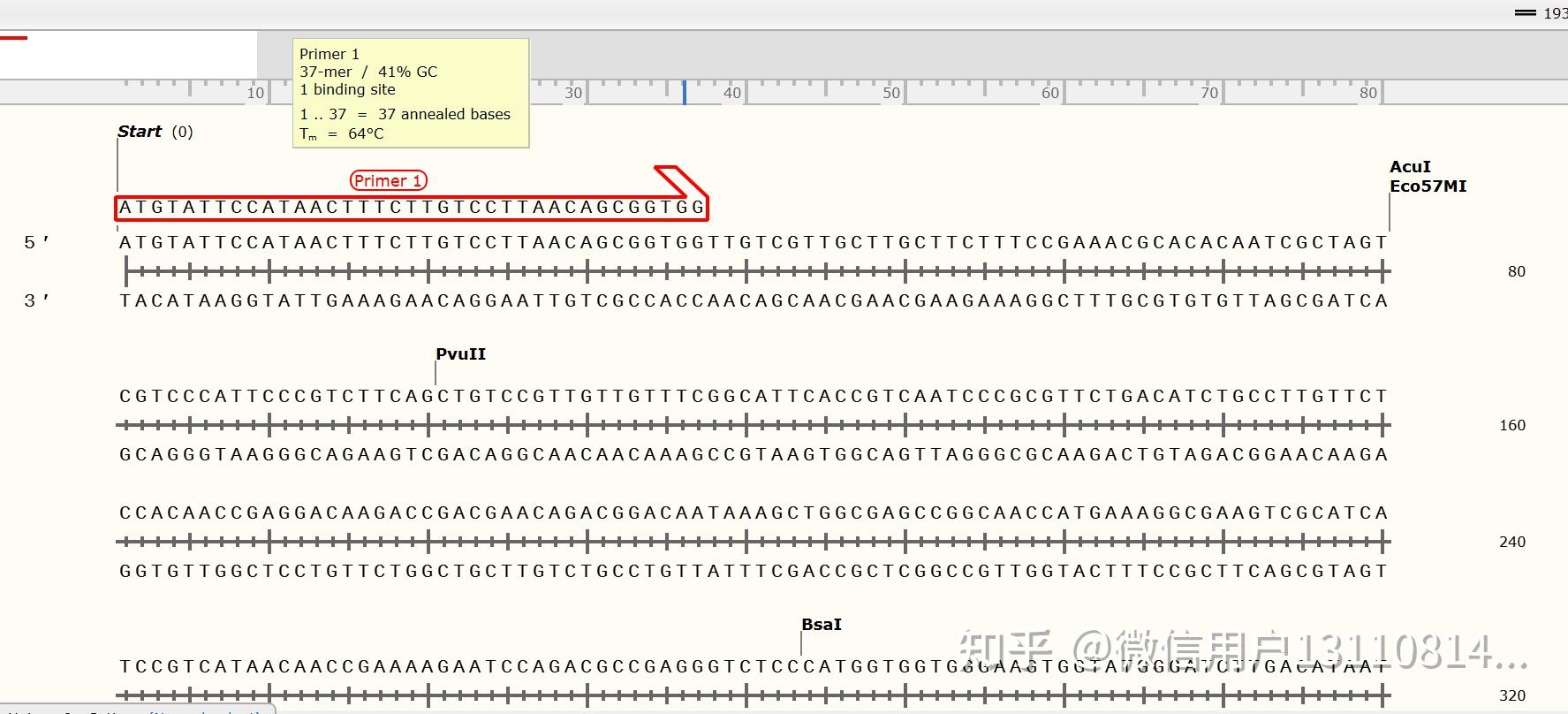 【经验分享】如何利用snapgene设计引物实现某个基因序列全长的PCR扩增 - 知乎