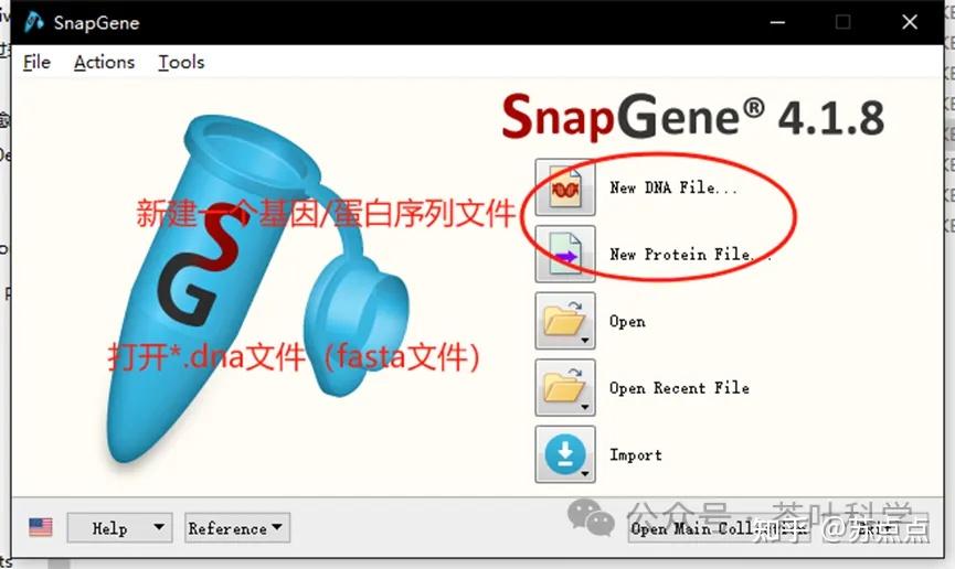 snapgene如何插入目的基因? - 知乎