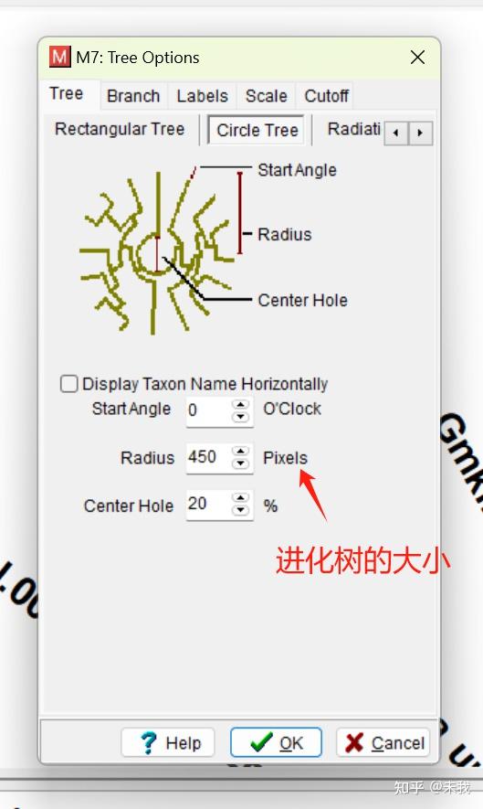mega7-进化树美化 - 知乎