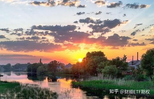 50etf期权权利金如何计算？ - 知乎