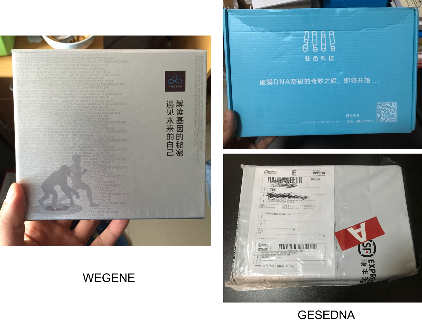 各色DNA 和 WEGENE 开箱比较 - 知乎