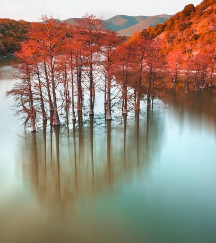 中国社会各阶层分析 - 知乎