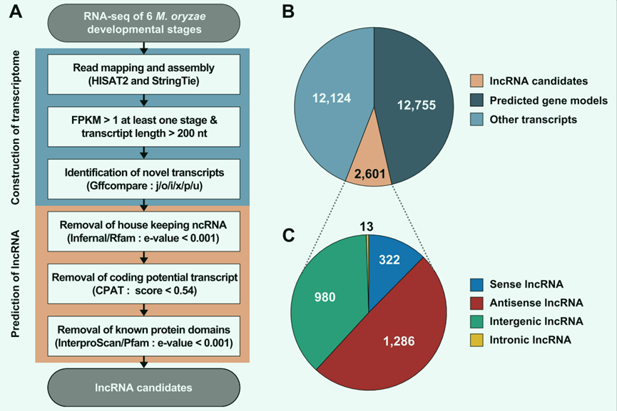 lncRNA鉴定方法整理 - 知乎