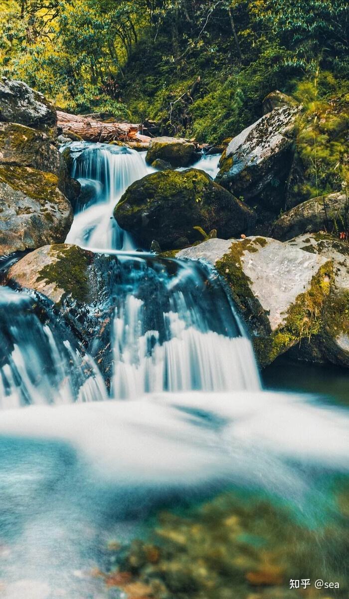 【Python】使用Python调用OpenSSL进行RSA密钥对生成 - 知乎