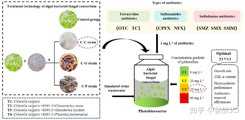 投稿SCI遇到杂志要求提供Graphical Abstract，该如何应对？ - 知乎