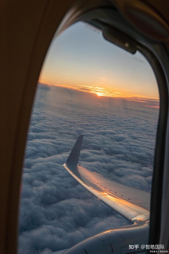 最详细！航空公司鉴定货物的范围及注意事项 - 知乎