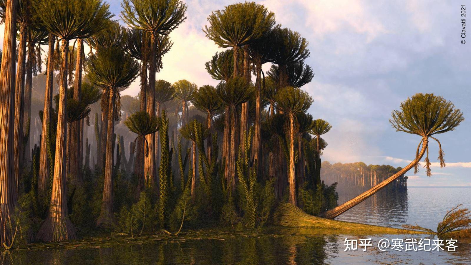 一次植物的疯狂，泥盆纪末生物大灭绝 - 知乎