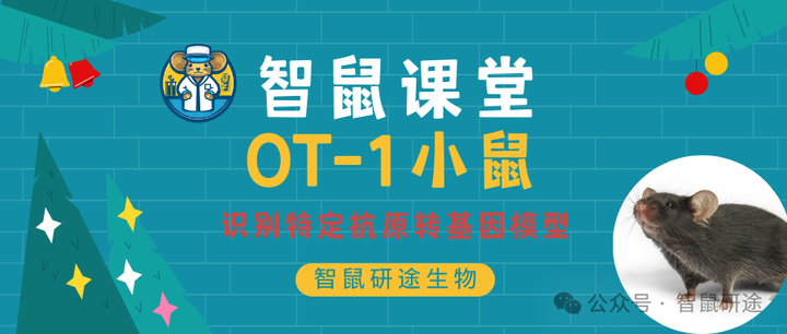 转基因鼠 | OT1小鼠介绍 - 知乎
