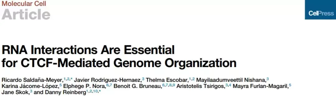 Mol Cell背靠背 | CTCF蛋白对染色质结构的调控与CTCF-RNA的相互作用密切相关 - 知乎