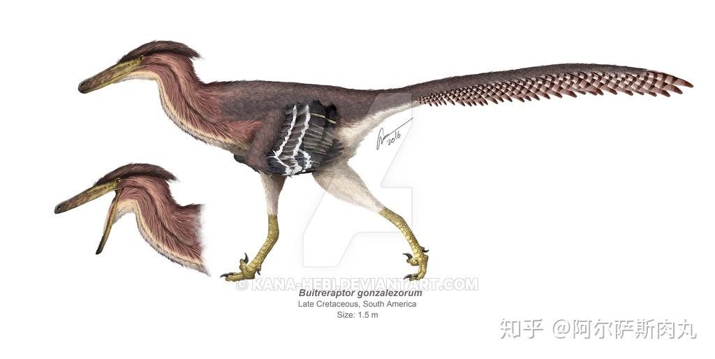 为什么所有的恐龙都灭绝了？ - 知乎