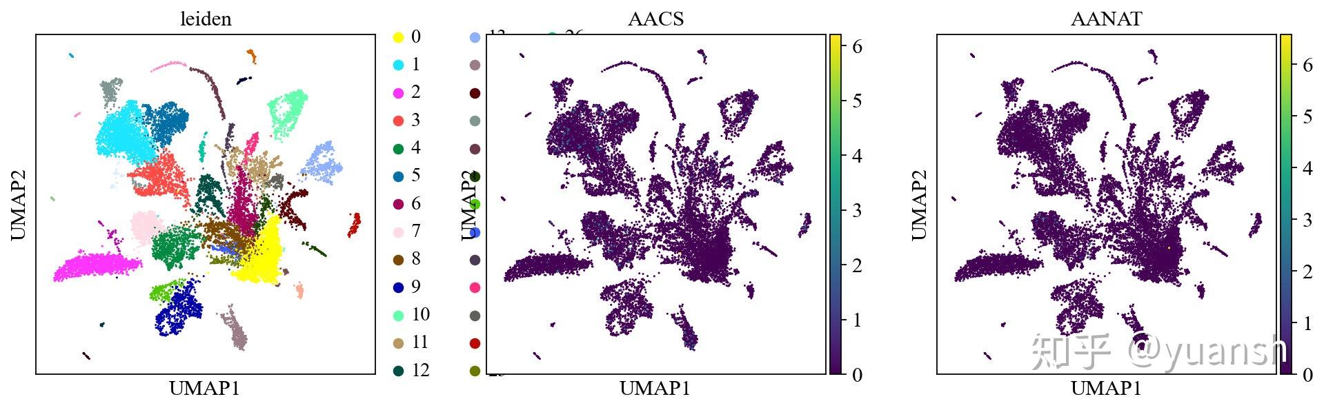 （单细胞-SingleCell）Scanpy流程——python 实现单细胞 Seurat 流程 - 知乎