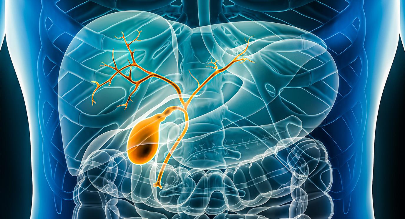 卫材FGFR2基因融合突变胆道癌靶向药Tasfygo已在日本上市 - 知乎