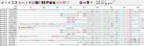 生信入门|Bioedit序列比对和可视化软件 - 知乎