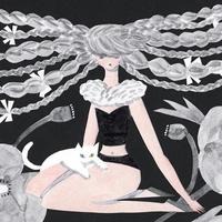 科研小白SCI出图-part1-tecplot基础出图 - 知乎