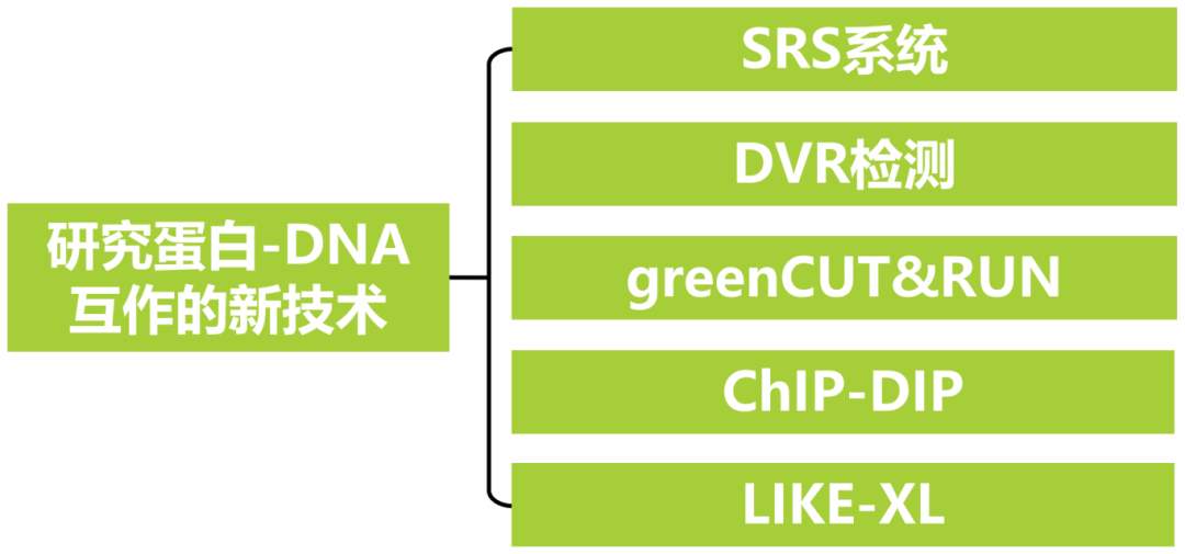 速来围观！研究转录因子-启动子互作的“新技术” - 知乎