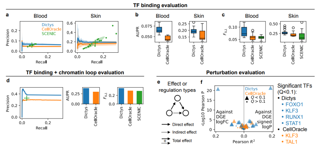 Dictys：单细胞多组学分析发育连续性的动态基因调控网络 - 知乎