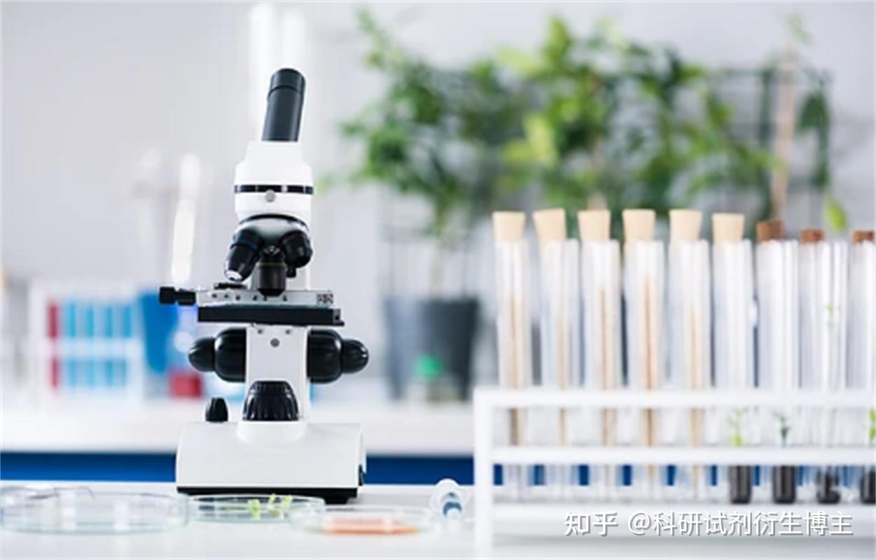 DOTA-四聚乙二醇-甲基四嗪，2756465-66-2，可以用于制备生物探针 - 知乎