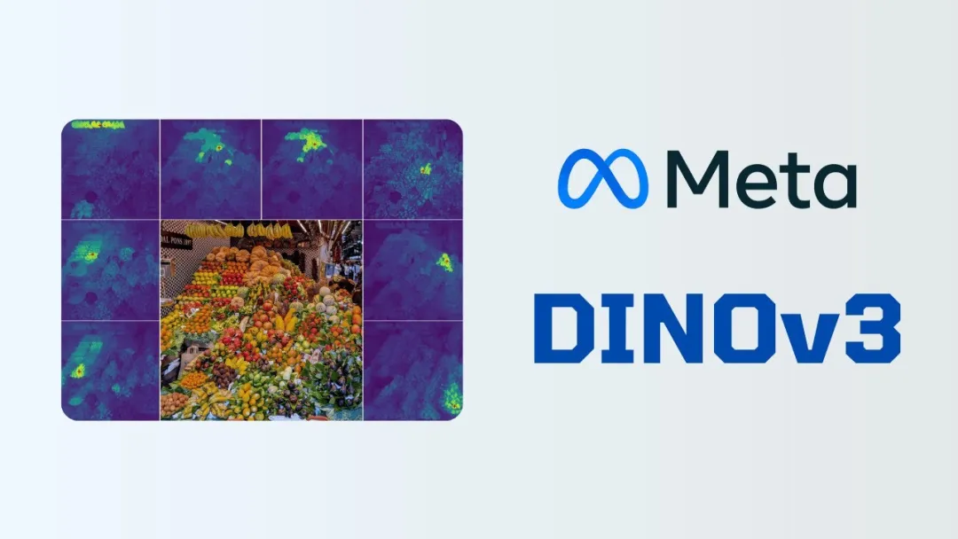 DINOv3 图像分类全攻略：从零样本到微调，一文读懂 - 知乎