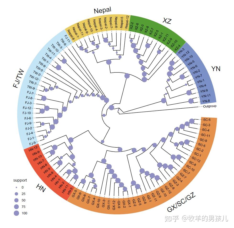 跟着Nature Plants学作图：R语言ggtree包展示进化树 - 知乎