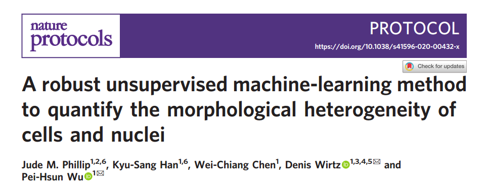 Nat Protoc | AI学习量化细胞和细胞核形态异质性，可用于表型或药物筛选 - 知乎