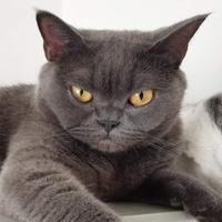 全表观基因组关联分析（EWAS）与GWAS，MR碰撞 - 知乎