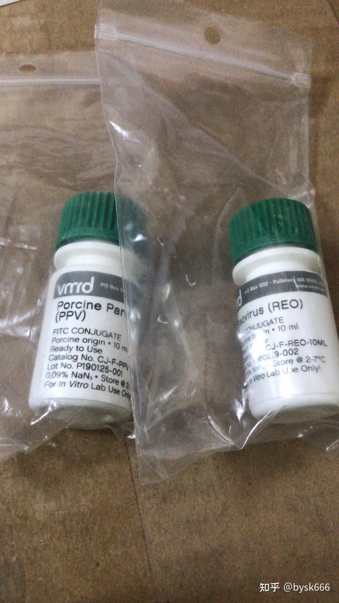 【干货分享】狂犬实验RFFIT操作程序 - 知乎