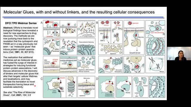 Stuart Schreiber 教授 - 分子胶的 30 年：在生物学和医学中控制细胞电路 - 知乎