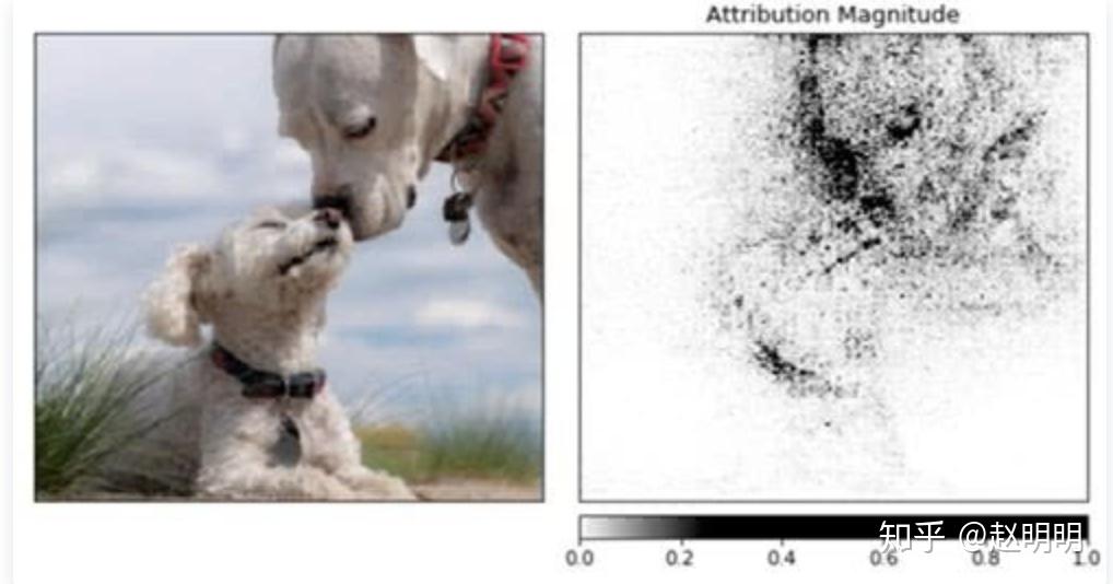 Captum 尝试去解释CNN - 知乎