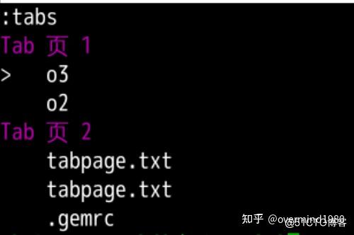 oeasy教您玩转vim - 68 - # 标签页tab - 知乎