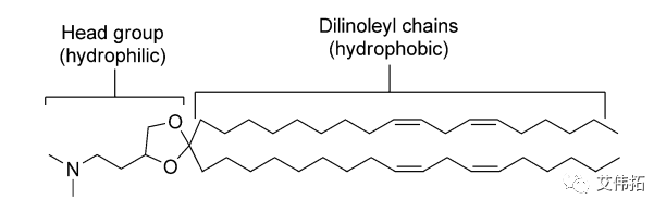 DLin-DMA的衍生发展史 - 知乎