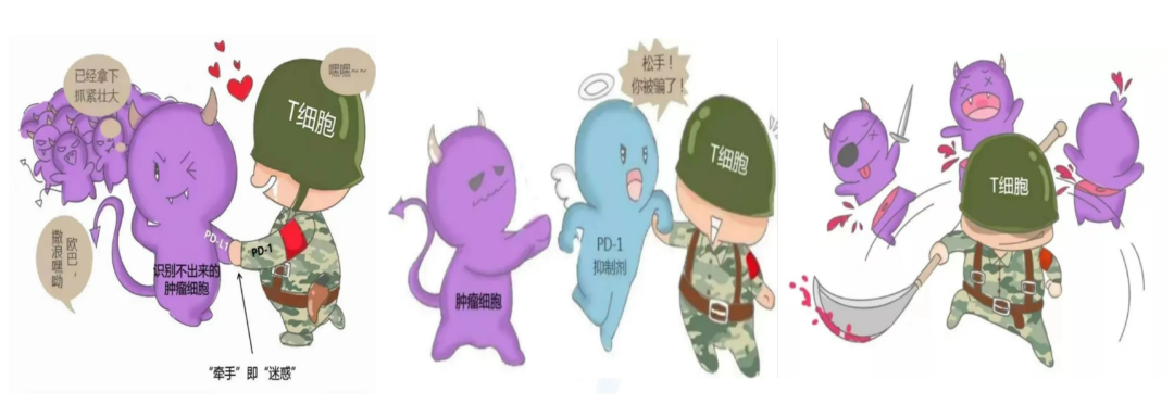 免疫治疗的科普 - 知乎