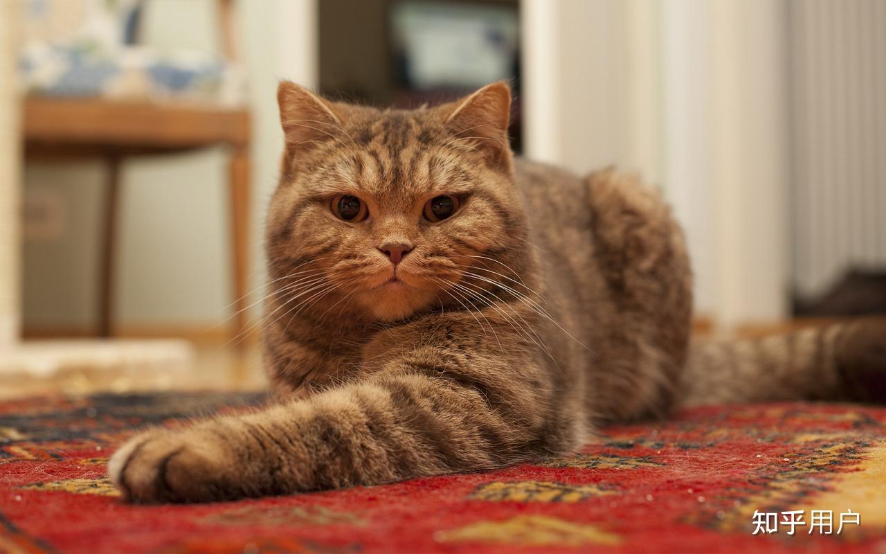 人间清醒的句子有哪些呢？ - 知乎