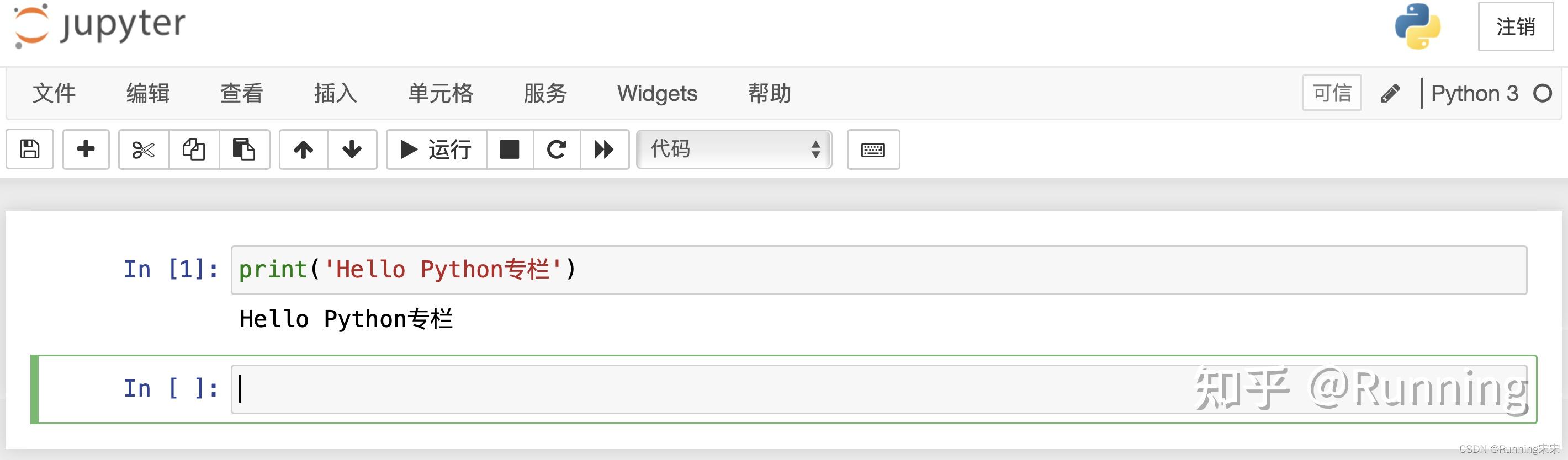 Jupyter Notebook和编程语言如python有什么关系？ - 知乎