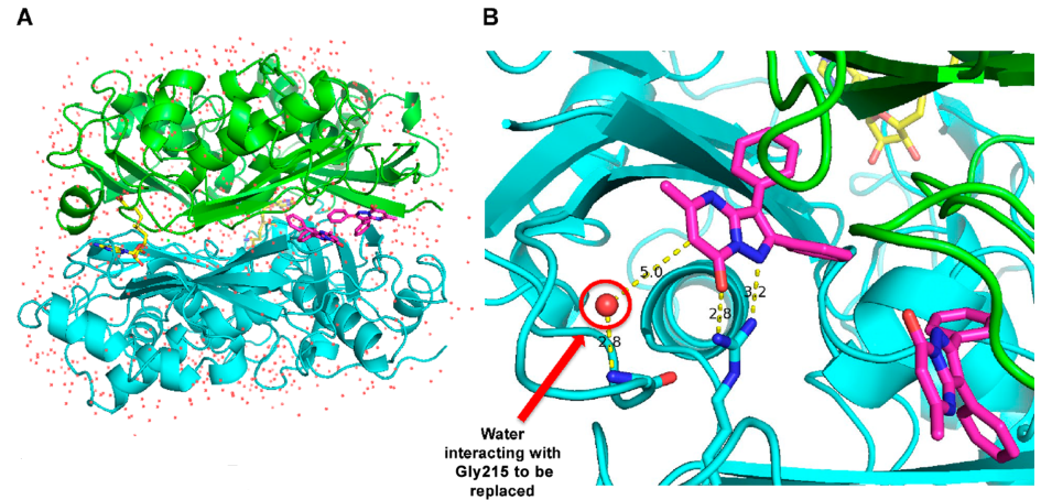 MAT2A靶点临床在研抑制剂开发进展 - 知乎