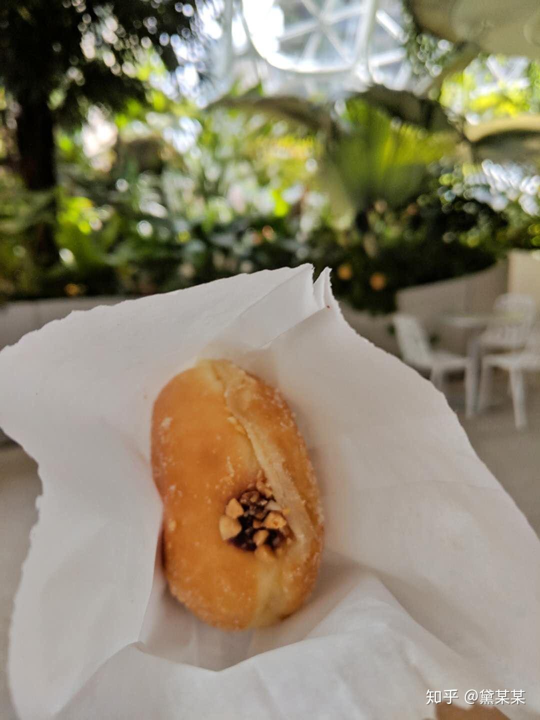 The Spheres | 那座被搬到城市的亚马逊“森林”（文末有参观攻略） - 知乎